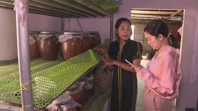 Cà Phê Ủ Chóe – Câu Chuyện Độc Đáo Của Cô Gái Dân Tộc K’Ho Với Thương Hiệu LeK Coffee bón phân ...